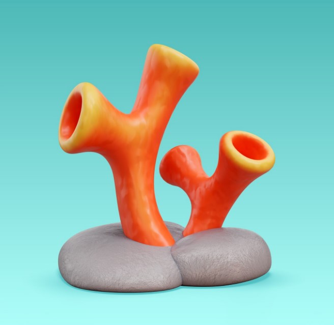 Rare Corals We Love: A Guide to High-End Specimens for Collectors