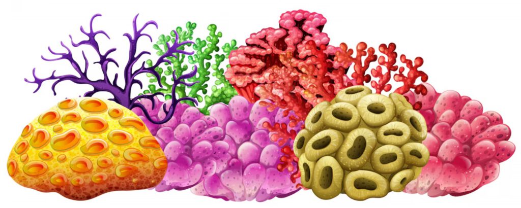 LPS vs SPS Corals: What’s the Difference and Which is Best for You?